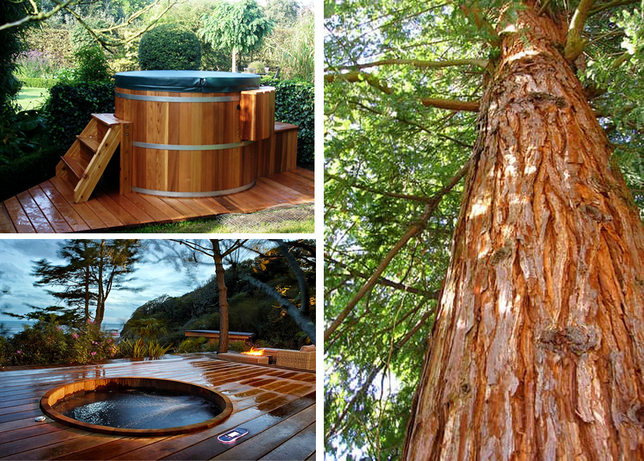 Northern Lights Cedar Tubs - All about cedar